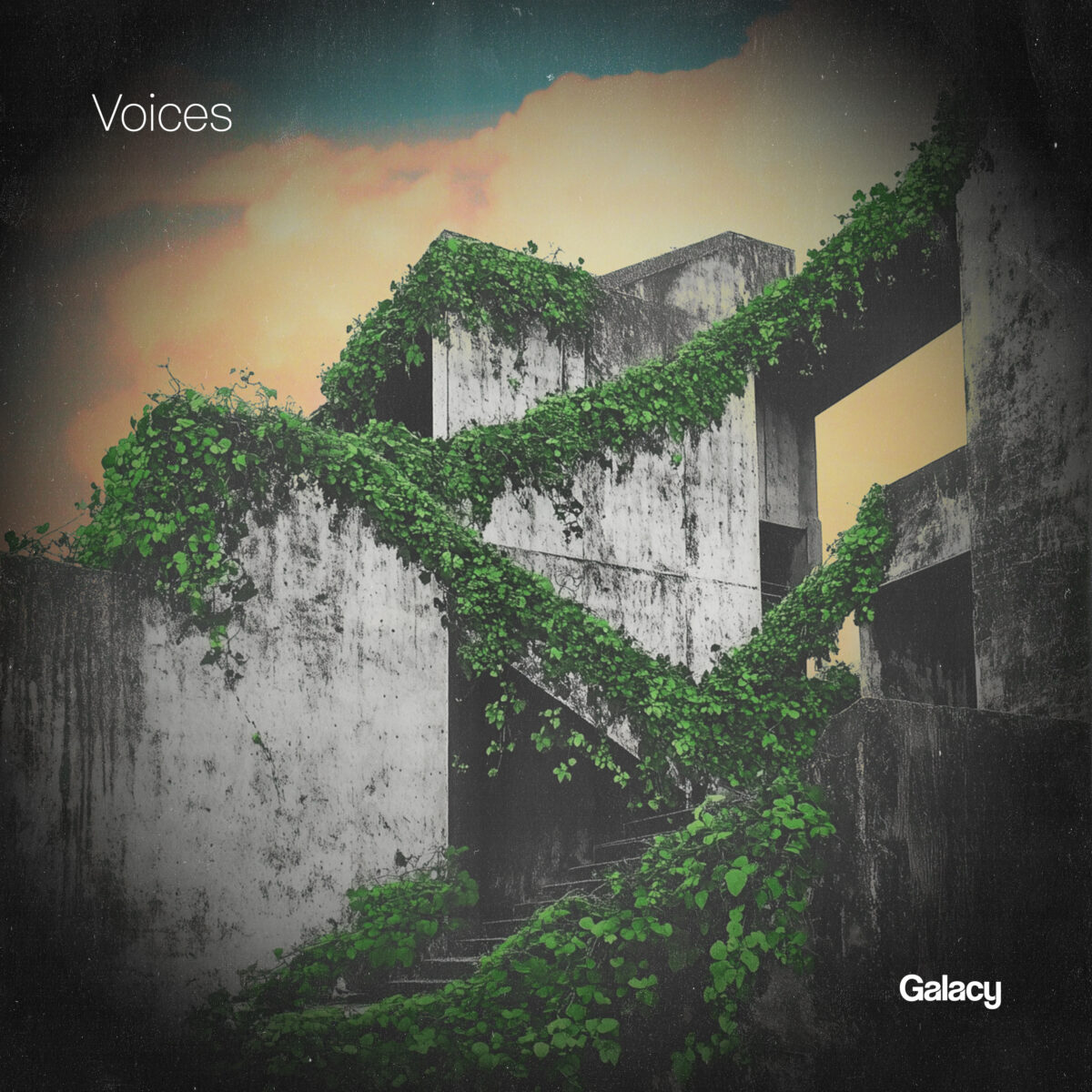Voices – Liquicity